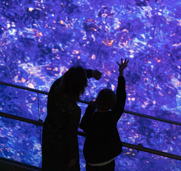 Lahden visuaalisten taiteiden museo Malva